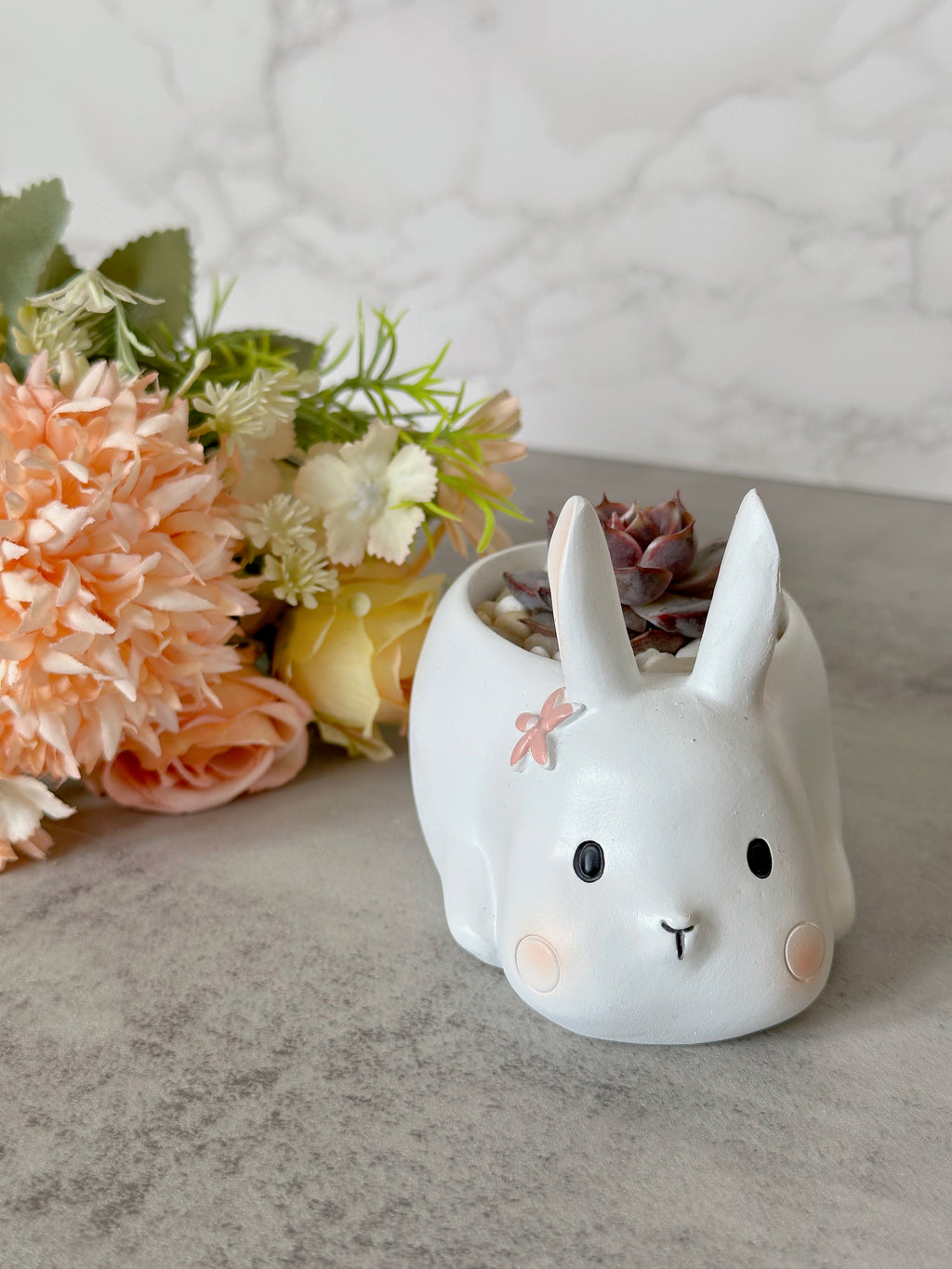 Bunny Pot – ViviQ Succulents